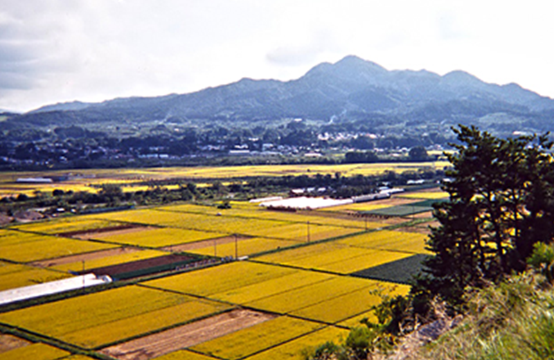 Take a trip and experience life in a countryside stay region while ...